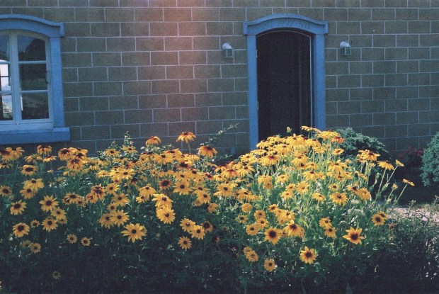 Why We Shoot Film – Inge Donovan | Portfolio